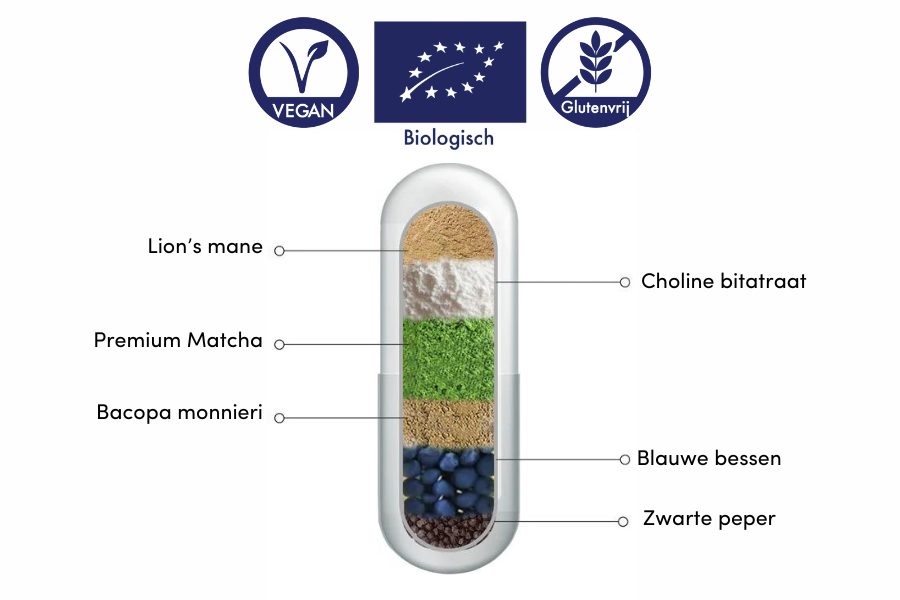 Happy Brain - Premium nootropic supplement – Happy Supps®